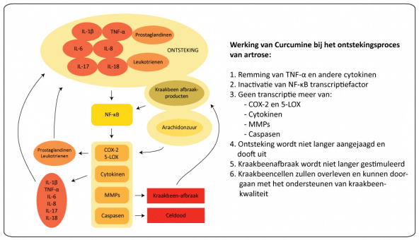 Is Kurkuma Geschikt Voor Artrose en Reuma Behandeling?